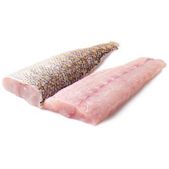 Fresh Golden Tilefish | Piazza Denardi